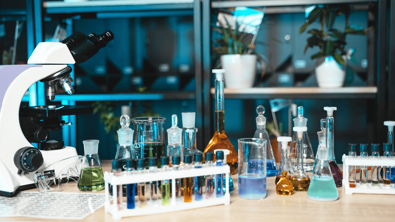 St. Xavier's High School